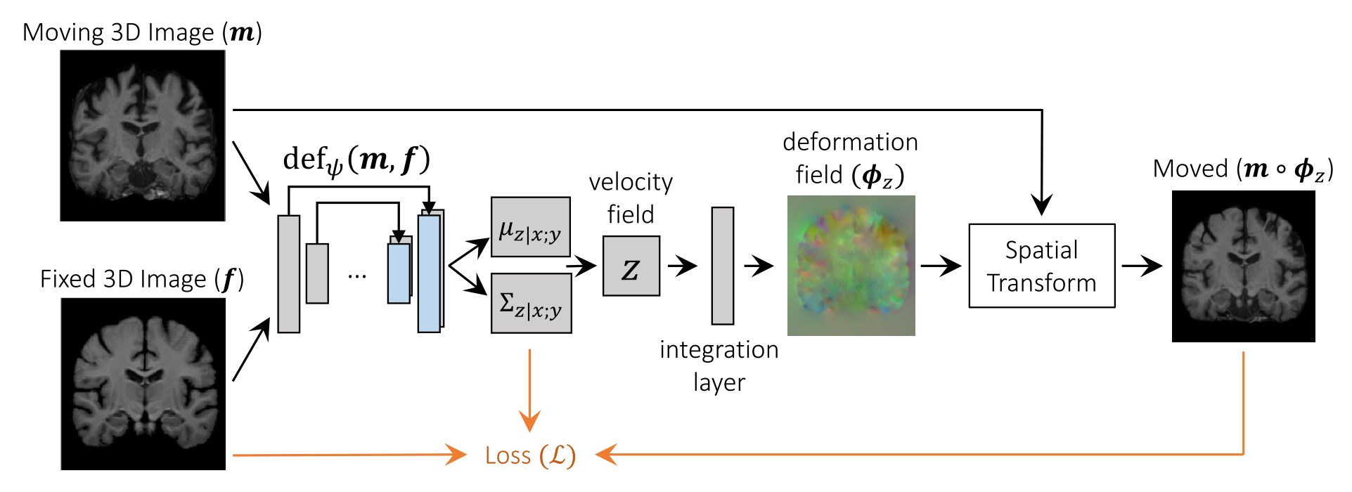 (2019)Unsupervised Learning of Probabilistic Diffeomorphic Registration for Images and Surfaces